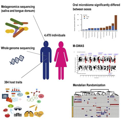 Sex Differences In The Oral Microbiome Host Traits And Their Causal Relationships Abstract