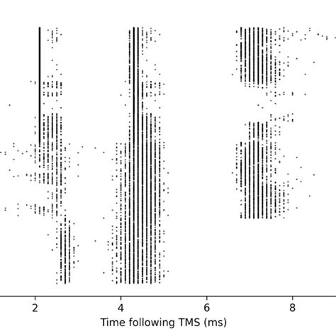 Raster Plot Of Layer 5e Neurons Arranged By Number Of Firing Instances