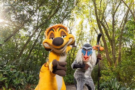 Disney World Announces Closing Date For Everything At Rafikis Planet