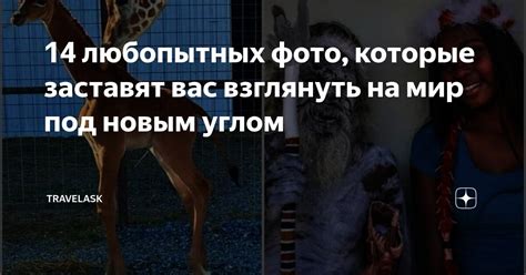 14 любопытных фото которые заставят вас взглянуть на мир под новым углом Travelask Дзен