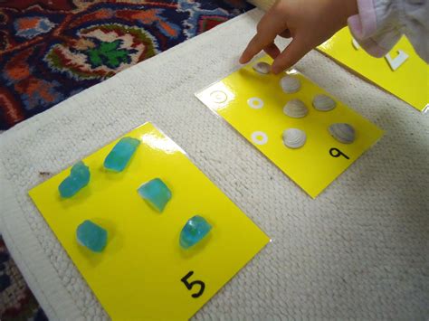 To The Lesson Numbers Sort And Count
