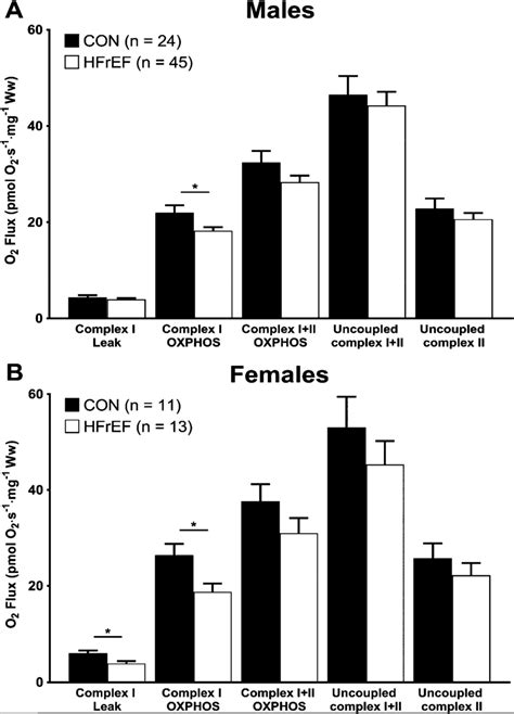 Skeletal Muscle Mitochondrial O2 Flux Across All Respiratory States In Download Scientific