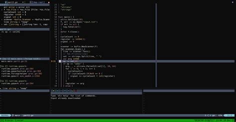 Why Vim In The Land Of Go