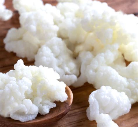 우유 Kefir티벳버섯 만드는 법 And 과민성 대장증후군 극복기 Fit And Nourished Living