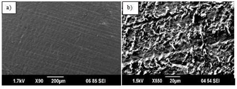 Scanning Electron Micrographs Of Polymers Before A And After