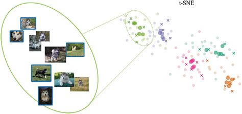 Csse Free Full Text Dynamic Analogical Association Algorithm Based