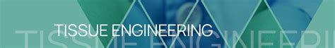 Tissue Engineering Wi3r