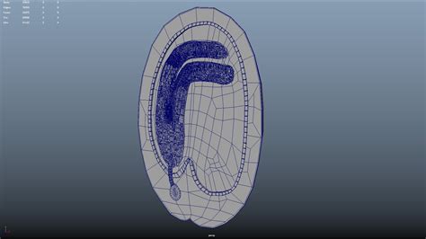 Developing Seed 3d Model Turbosquid 2206037