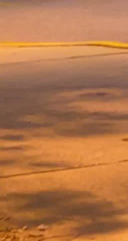 Girl Pissing Outside Bar Thisvid Com