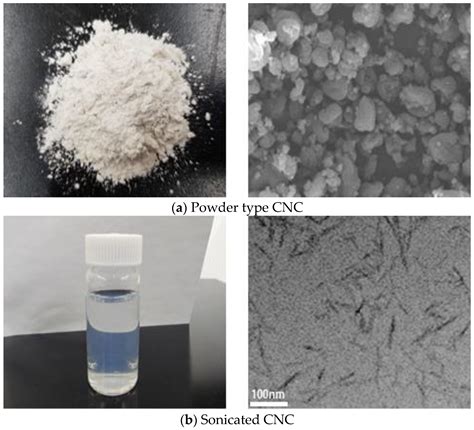 Evaluation Of Polycaprolactone Applicability For Manufacturing High Performance Cellulose