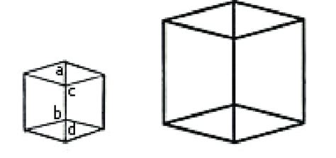 The Necker Cube Absent A Depth Clue About Horizon Download Scientific