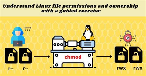Priyadarshi Ranjan On Linkedin File Permissions And Acl Day 6