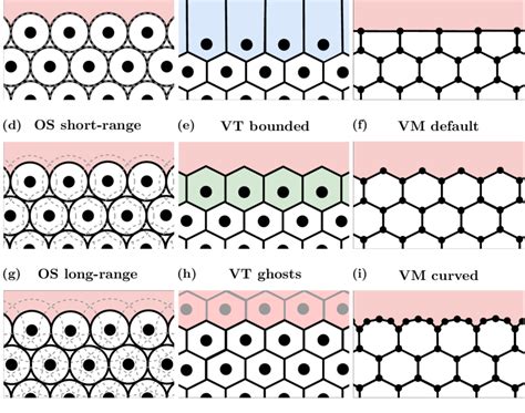 Cell Boundary Structure New Grid System Atlas Florae Europaeae