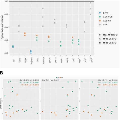 A Summary Of Spearman Correlation Coefficients For The Relative