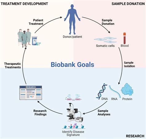 Reach Chromatin Biobank