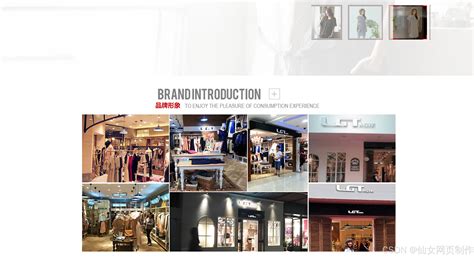 660 大学生html5期末大作业 ―【棕色的时尚女装企业网页】 Web前端网页制作 Html5css3js Csdn博客