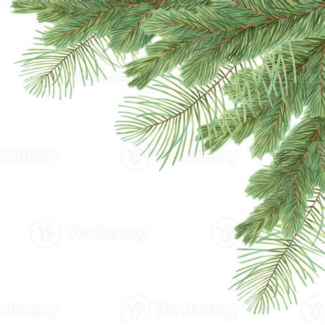 Pine Trees Border Pngs For Free Download