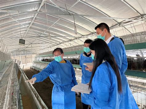 我院畜牧专家服务团赴金指导瓢鸡养殖工作 新闻中心 上海市农业科学院庄行综合试验站