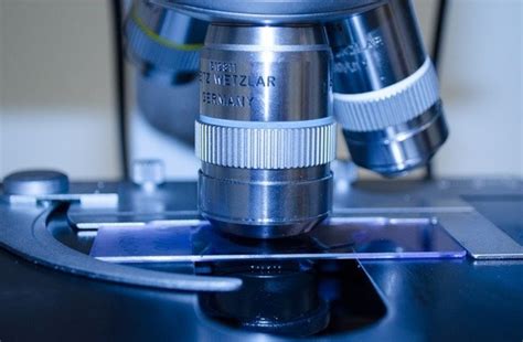 Automated Data Acquisition Software For Single Particle Cryo Electron Microscopy Globalspec