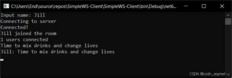 如何 Aspnet Core 中使用 Websocketaspweb Websocket Csdn博客