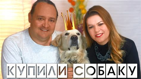 КАК МЫ КУПИЛИ СОБАКУ завели щенка Youtube