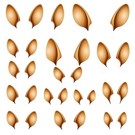 Premium Vector Ears Vector Set White Background Isolated A High