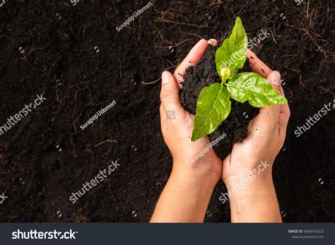 Holding Soil Women Photos And Images Shutterstock