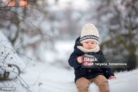 달콤한 형제 자매 눈 덮인 숲에서 겨울 파티를 하는 아이들 젊은 형제 소년 보온병에서 차를 마시는 추운 날씨에 따뜻한 음료와 음료 2명에 대한 스톡 사진 및 기타 이미지