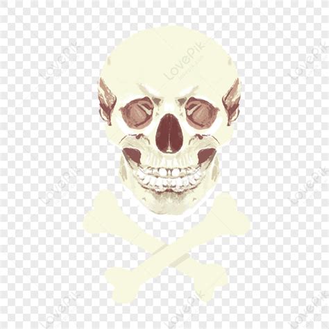 骷髏頭插畫PSD圖案素材免費下載可愛卡通圖片尺寸1000 1000px Lovepik