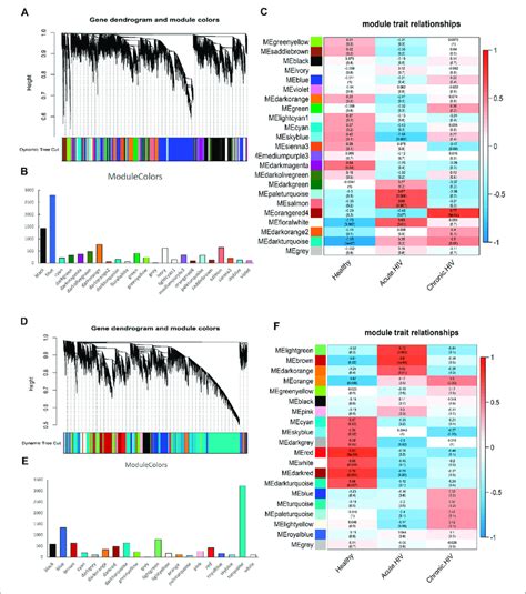 identification of the co expressed gene modules a hierarchical
