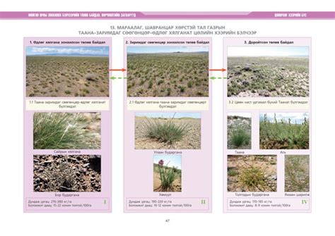 Монгол орны зонхилох бэлчээрийн төлөв байдал өөрчлөлтийн загварууд Pdf