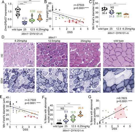 Correlation Analysis Of Postmortem Skeletal Muscle Specimens With Download Scientific Diagram