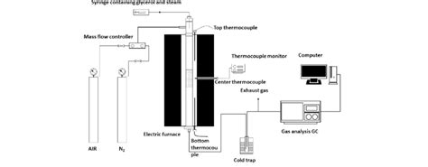 Schematic Of Reactor Setup Download Scientific Diagram