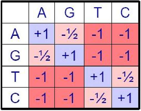 Sequence Alignment And The Needleman Wunsch Algorithm By Aditya