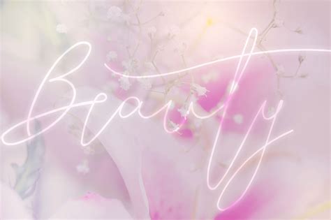 Signature Script Font Free Download For WEB