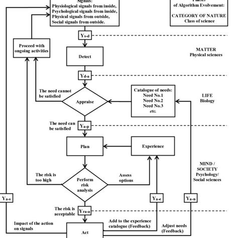 The Algorithm Of Human Behavior And Phases Of Its Evolvement Download Scientific Diagram