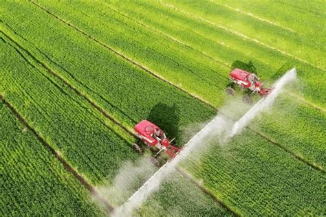 Top 10 Fertilizer Companies You Need To Know In 2024 Boost Your Crop