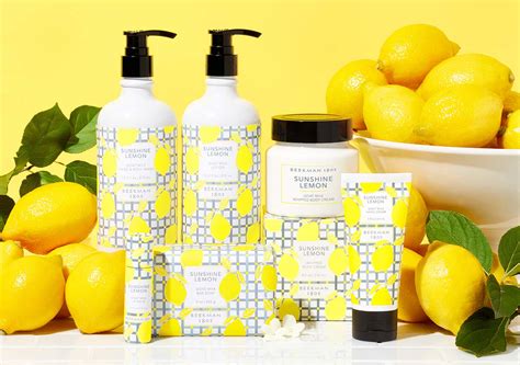 Shop Beekman 1802 Wholesale Ivystone