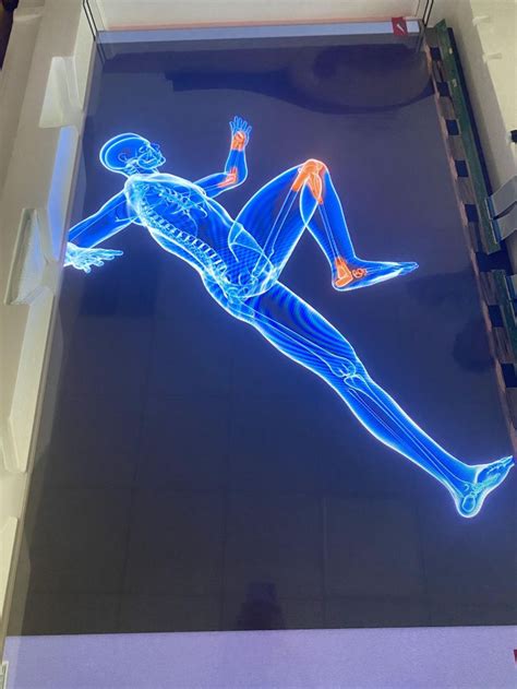 30寸oled透明屏裸屏展厅商用智能广告机双面透明显示屏lg三星自发光电视 触控一体机 会议教学一体机 智能触摸桌 自助终端 全息展示柜 深圳智显通科技有限公司