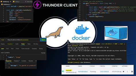 Creación De Un Contenedor De Mariadb Usando Docker Y Conexión A Una