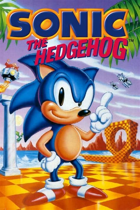 Sonic The Hedgehog 1991 Sonic Retro Video Games Art Sonic Birthday