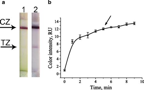 ALP Enhancement A Test Strips After ALP Enhancement Using Different Download Scientific