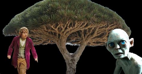 Practical Use Case Of Tree Data Structure Using Json In Programming