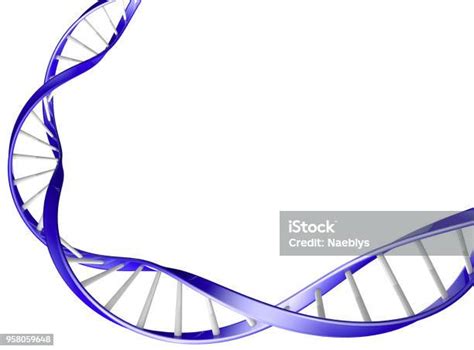 Dna Deoxyribonucleic 산 성장 개발 기능 및 복제에 사용 하는 유전 명령어를 운반 하는 뉴클레오티드의 스레드 같은 체인입니다 Dna 나선 0명에 대한 스톡