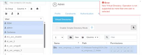 Primary Group Assignment For Multiple Native Users In Cerberus Ftp