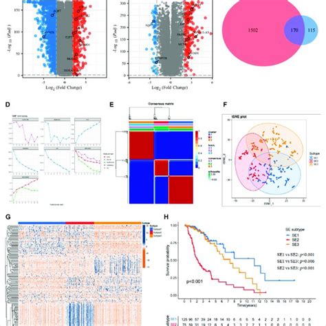Identification Of Se Subtypes Of Lgg By Using Nmf Algorithm A Download Scientific Diagram
