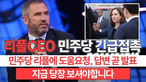 리플 크립토 분석가 리플 가격설정완료 지금 인생걸러갑니다 리플 리플코인 리플전망 리플가격 Youtube