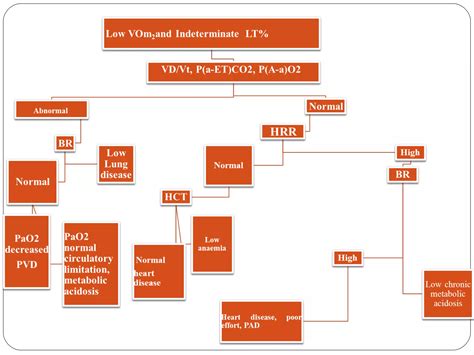 Interpretation Of Cpet Ppt