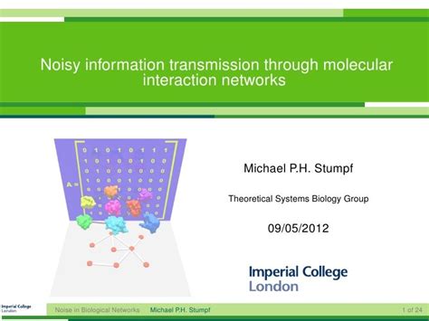 Noisy Information Transmission Through Molecular Interaction Networks