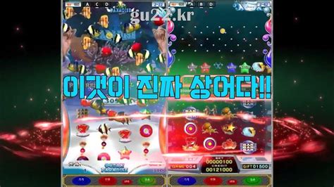 릴게임오션파라다이스 이것이 진짜 상어다오션파라다이스🍉바다이야기🍉바다이야기게임🍉백경게임🍉강원랜드🍉슬롯머신🍉잭팟🍉릴게임예시🍉릴게임종류🍉💛국내 No1릴게임💛오리지널통기계버전